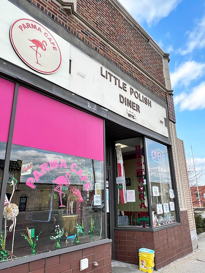 Parma Cafe's pink flamingo logo adds whimsy to this serious Polish food destination. Little Polish Diner, big Polish flavors!