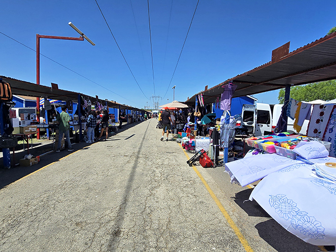 Weekend warriors gather under blue skies, turning ordinary parking lots into extraordinary treasure hunting expeditions.