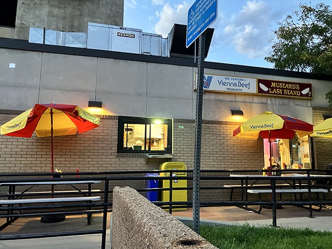 Mustard's Last Stand proves that sometimes the best things in Boulder aren't climbing the Flatirons &ndash; they're nestled between buns.