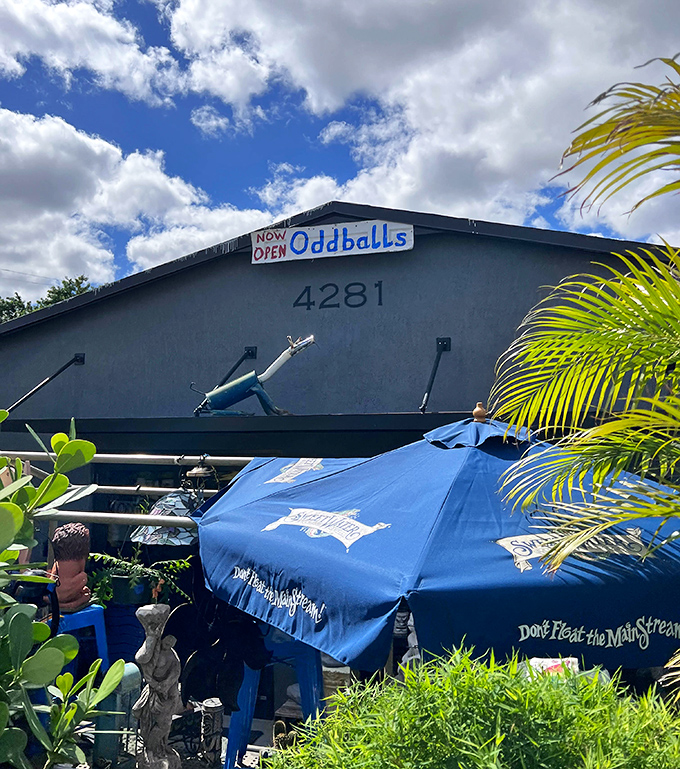 Oddballs lives up to its quirky name with that playful sign against the Florida sky. "Don't float the mainstream" indeed!