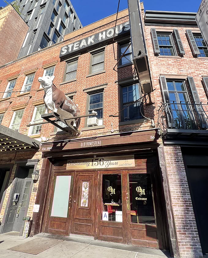 Old Homestead's iconic cow sculpture stands guard &ndash; the bovine equivalent of "you must be this hungry to enter."