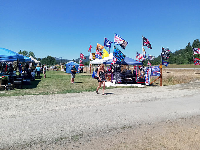 Mountain air and flea market flair combine perfectly in this charming outdoor treasure hunting adventure.