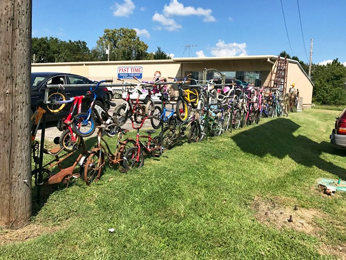 Bicycles lined up like colorful soldiers, ready to roll into their next adventure chapter.