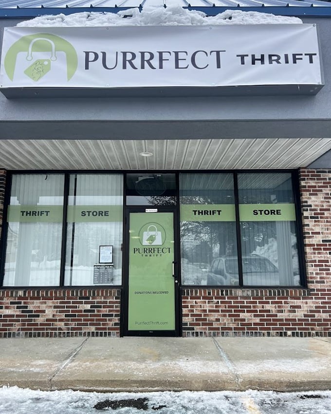 Clean lines and modern appeal prove thrift stores can look as polished as any boutique downtown.