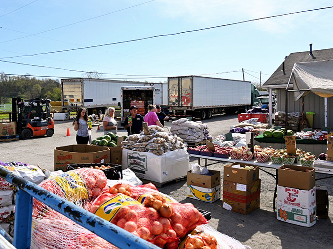 Fresh produce meets flea market magic where vegetables are as exciting as vintage finds.
