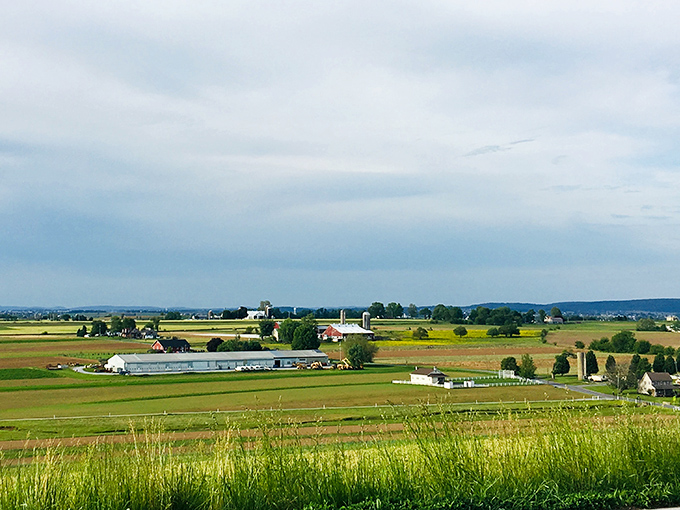 Rolling farmland stretches endlessly, proving that Pennsylvania's countryside wrote the book on pastoral beauty.