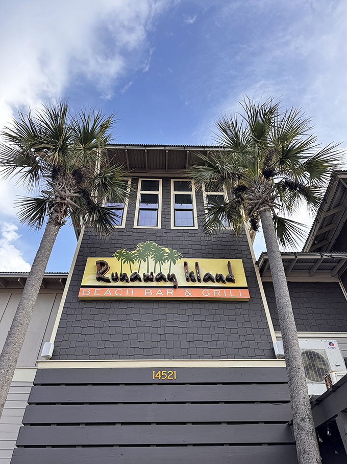 Runaway Island's palm trees and beach access make it the ultimate "office with a view" situation.