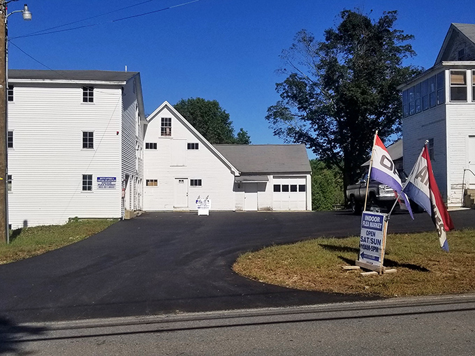 Inside this treasure cave, vintage signs and collectibles create a nostalgic wonderland worth exploring.