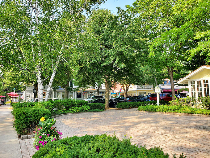 Saugatuck's charming streets are lined with galleries and shops that make browsing feel like an adventure.