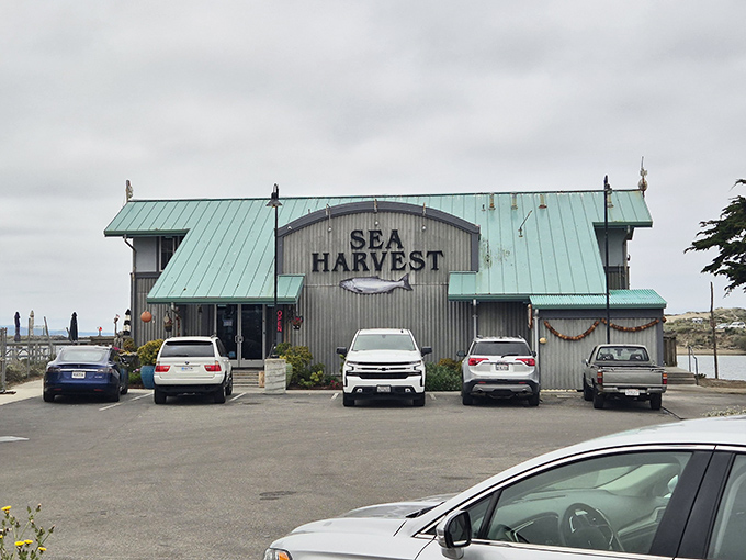 Sea Harvest's corrugated metal exterior tells you everything &ndash; this place cares about what's on your plate, not fancy frills. That's my kind of restaurant!