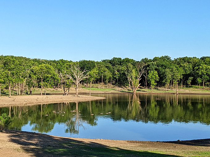 Mirror-perfect reflections turn this shoreline into a double feature that would make Ansel Adams swoon.