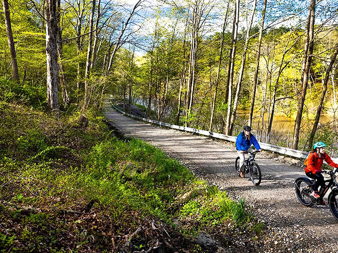 Two-wheeled adventurers conquering Litchfield's wild side! This forest path whispers promises of nature's therapy session with a side of adrenaline.