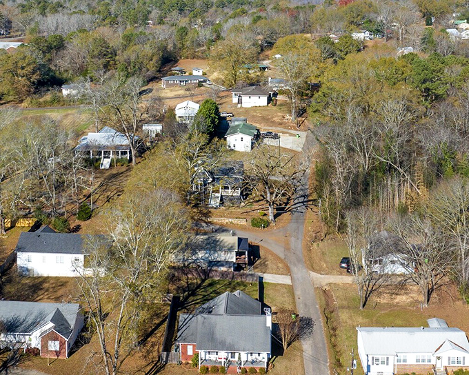 Springville's cozy homes nestle among nature's seasonal display, proving affordable living doesn't mean sacrificing scenic beauty.