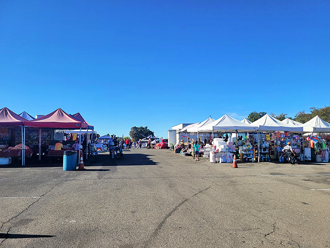 A sunny day at Stockton Open Air Mall brings friendly faces, colorful tents, and endless treasures waiting to be found.