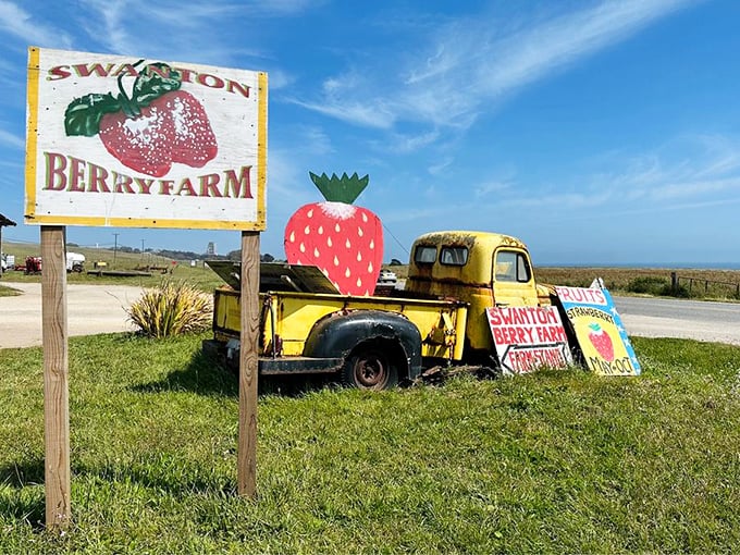 Vintage charm meets berry bliss. Swanton's yellow truck with strawberry topper is California farm nostalgia at its best.