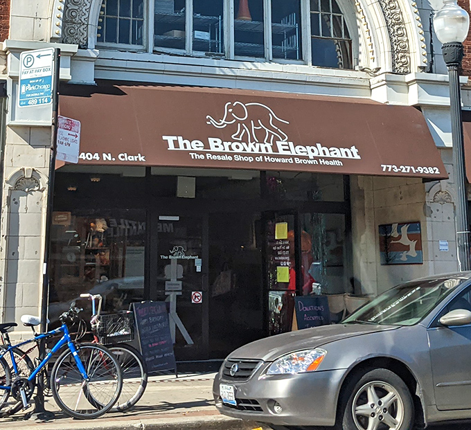 The Brown Elephant's elegant storefront suggests this isn't ordinary thrifting - it's curated secondhand shopping with serious style.