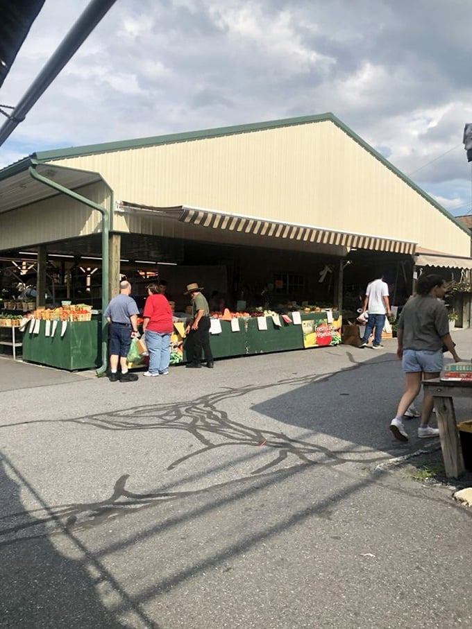 Green Dragon's outdoor produce stands burst with farm-fresh color. Where vegetables look so perfect they could win beauty pageants.