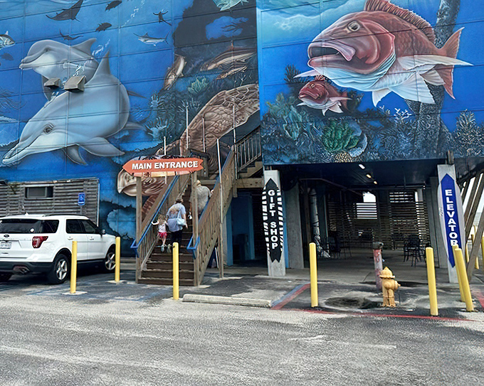 That underwater mural promises an oceanic adventure - and the seafood inside delivers on every painted promise.