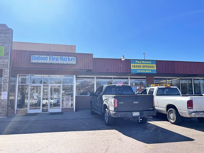 Clean lines and thoughtful presentation turn browsing into an art form - every aisle tells its story.