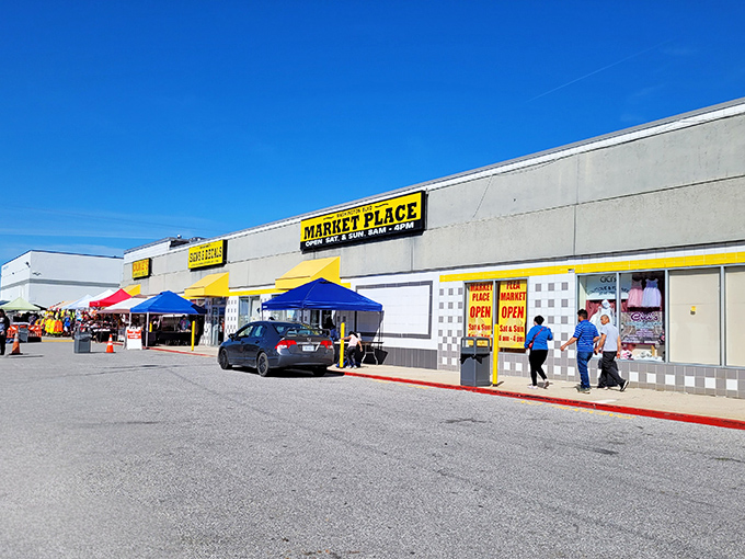 Musical instruments line the entrance like they're auditioning for a garage band reunion tour performance.