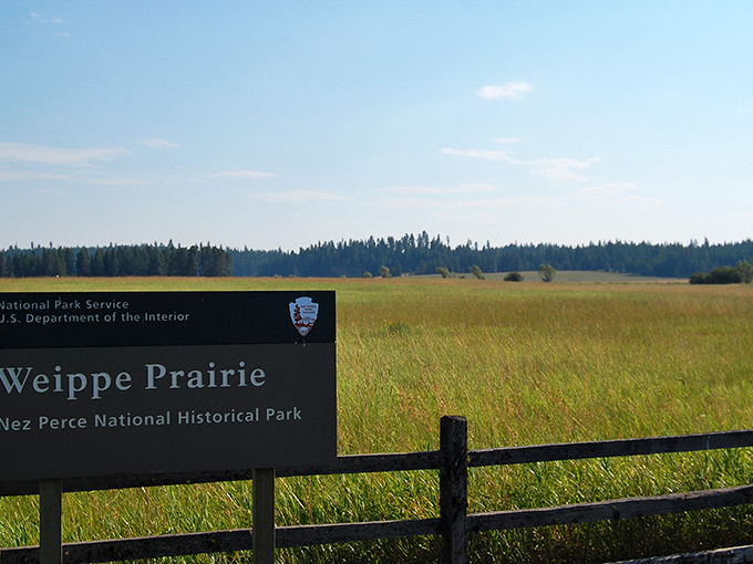 Weippe Prairie stretches endlessly, where Lewis and Clark once walked and history whispers through the grasslands.