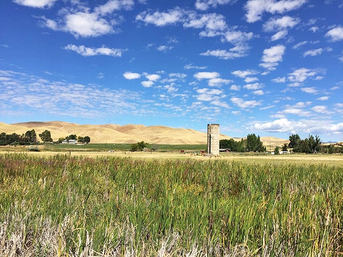 Weiser's golden fields stretch toward the horizon under a sky that seems to have been painted by an enthusiastic cloud artist.
