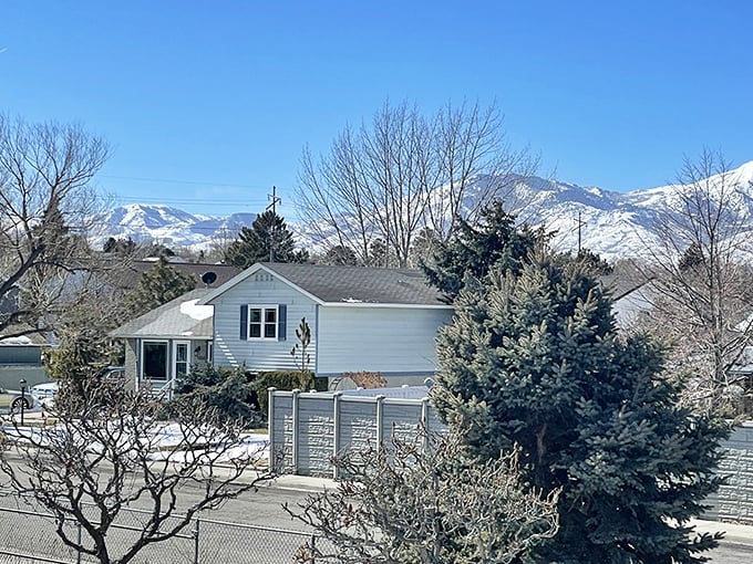 West Valley City hums with suburban energy, where strip malls hide treasures like garage sales gone professional.