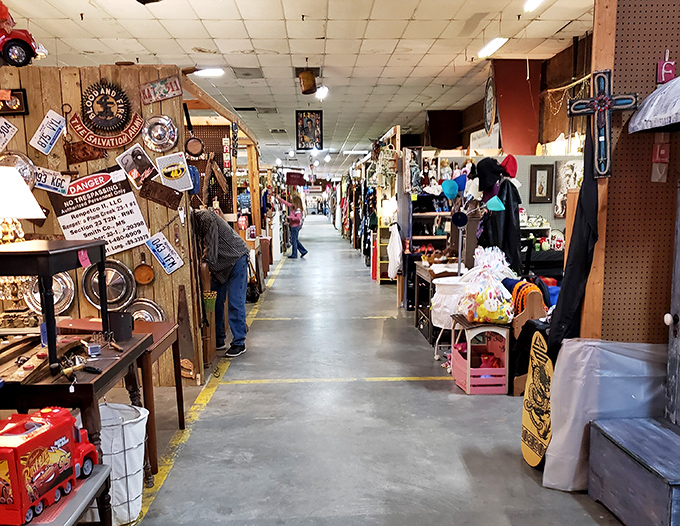 Wide aisles and organized vendor spaces let treasure hunters browse comfortably without that awkward shopping cart shuffle dance.