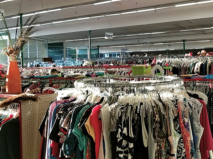 The interior of Aberdeen Thrift City reveals the organized chaos that makes thrift shopping an adventure in discovery.