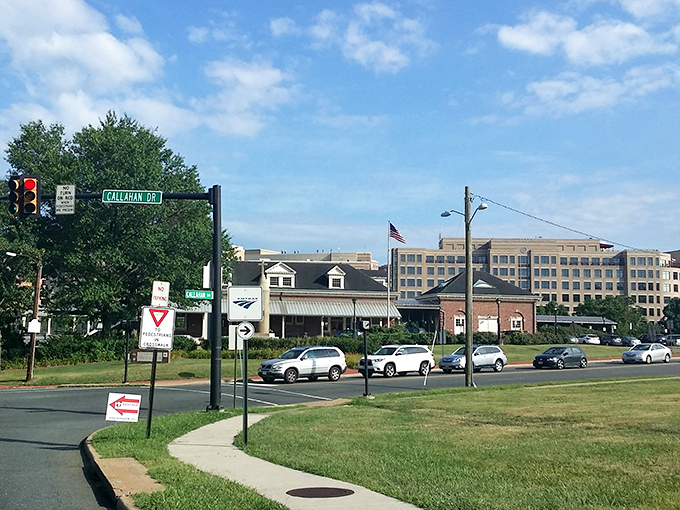 Modern living meets historic charm in Virginia's most surprisingly budget-friendly urban corner.