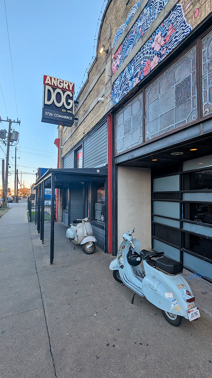 Those vintage Vespas parked outside Angry Dog hint at the cool factor that keeps locals coming back for more.