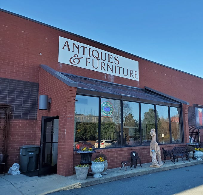 Sunlight streams through those display windows, illuminating carefully curated collections that tell stories from decades past.