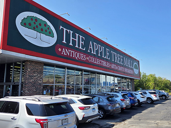 Sunny skies and full parking lots signal serious treasure hunting happening inside this Branson gem.