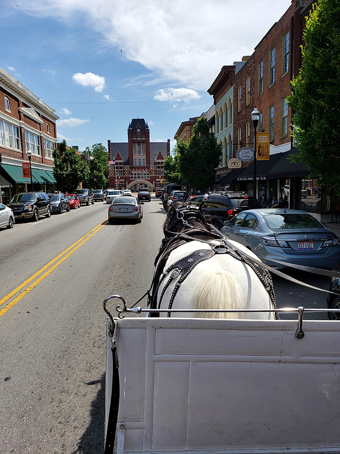From horse-drawn carriages to modern convenience, Bardstown's downtown proves some things never go out of style, including affordability.