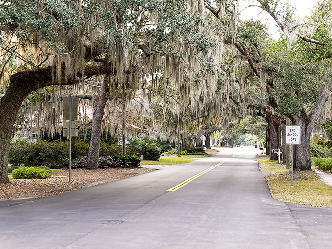Spanish moss drapes these Beaufort oaks like nature's own interior decorator. The perfect backdrop for your "I could live here" daydreams.
