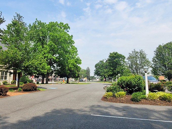Here's where buggies cruise past like they're starring in their own peaceful, unhurried reality show.