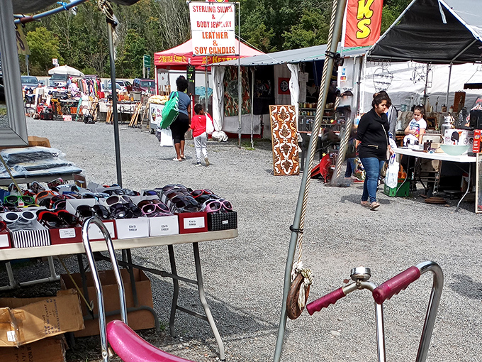 Blue Ridge Flea Market spreads across a picturesque Pocono setting. Against mountain backdrops, one person's castoffs become another's prized discoveries.