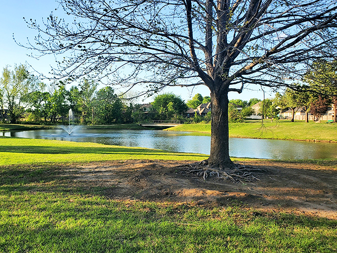 Parks and green spaces in Broken Arrow provide peaceful retreats that cost nothing but deliver priceless moments of natural beauty.