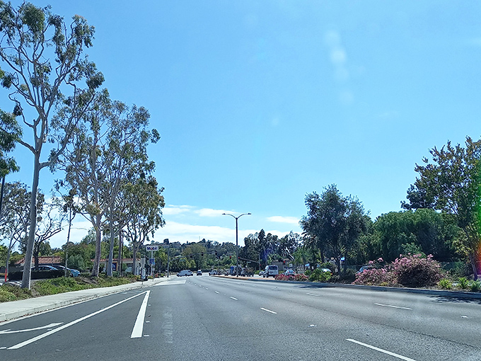 Wide open roads and blue skies as far as the eye can see &ndash; California City offers breathing room your wallet will appreciate too.