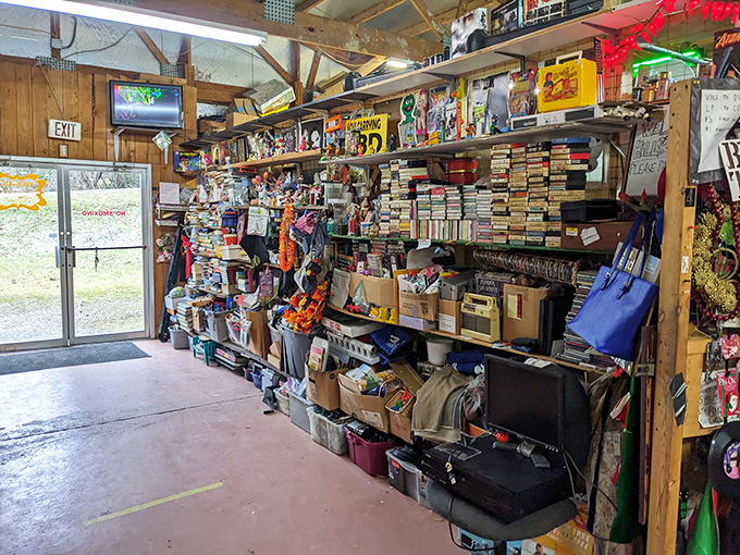 Books, records, and forgotten treasures create a collector's wonderland under one welcoming roof.