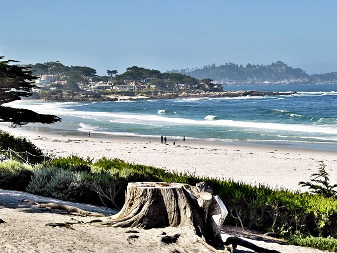 Waves gently caress the shoreline while cypress trees stand like ancient sentinels watching over the bay.