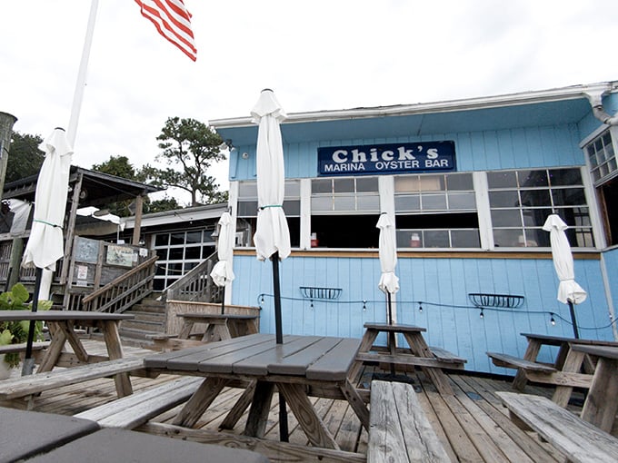 Those picnic tables at Chick's Oyster Bar have witnessed more seafood happiness than a fisherman's photo album.