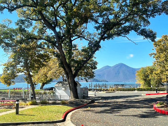 Where retirement dreams meet affordable reality&mdash;Clear Lake serves up postcard vistas without emptying your savings account.