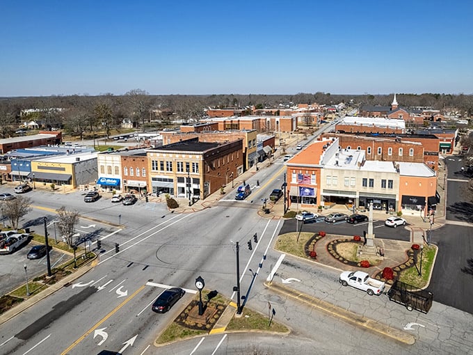 Aerial views reveal a community where houses have actual yards and mortgages don't require selling organs.
