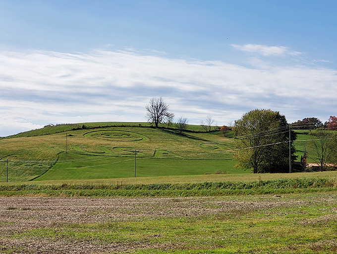 Rolling green hills unfold like a patchwork quilt, reminding you why Ohio earned its pastoral reputation.