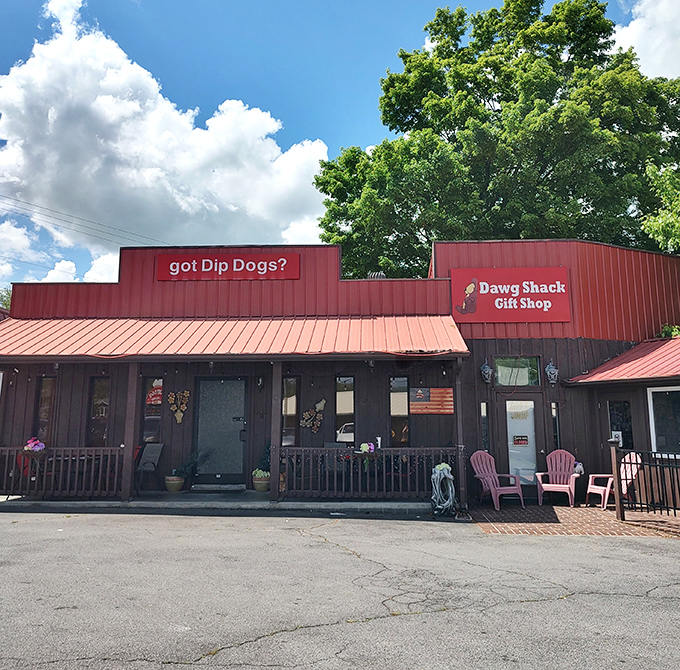 Like a hot dog theme park for grown-ups, this little red-roofed stand promises deep-fried delights worth the detour.