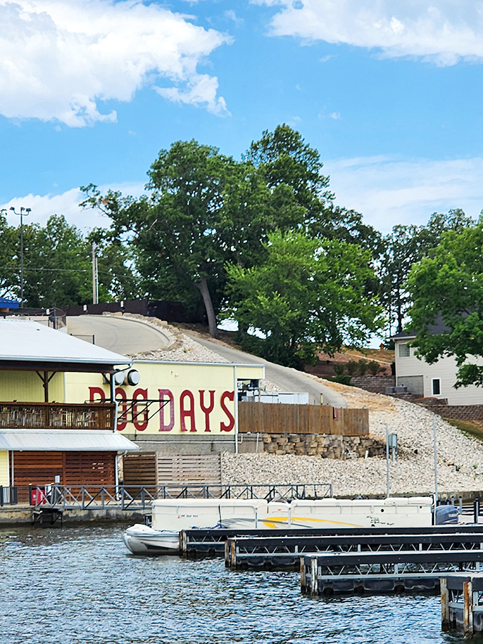 Dog Days delivers waterfront bliss - because life's too short for landlocked hot dog experiences.