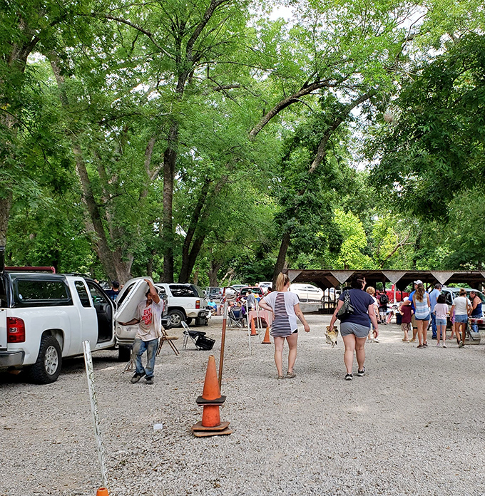 Orange cones guide treasure seekers through this leafy paradise where every table holds potential gold.