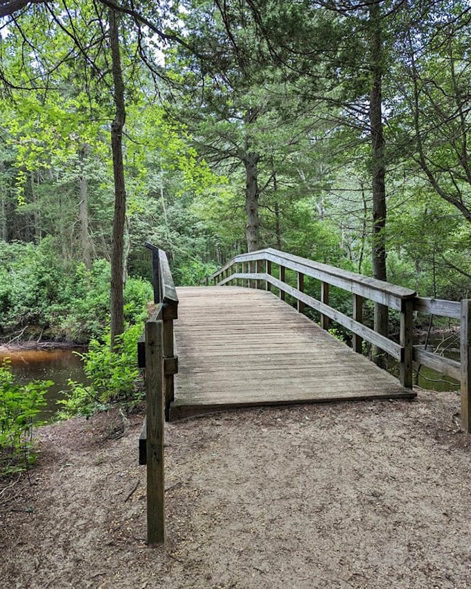 This wooden bridge at Double Trouble leads to adventures that make childhood dreams come alive.