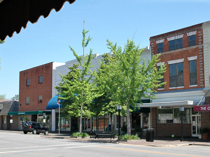 Historic Edenton's tree-lined streets create natural shade tunnels where time moves like honey and stress simply evaporates away.